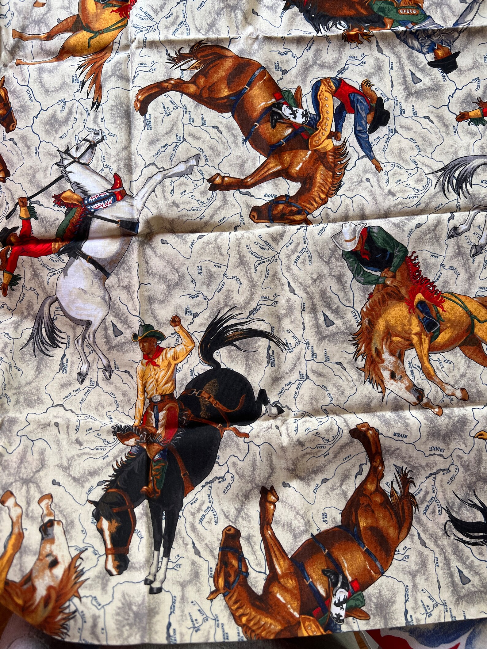 Cowboy ,patty Reed Designs ,2014 ,fabric Traditions . 1/2 YR - Etsy