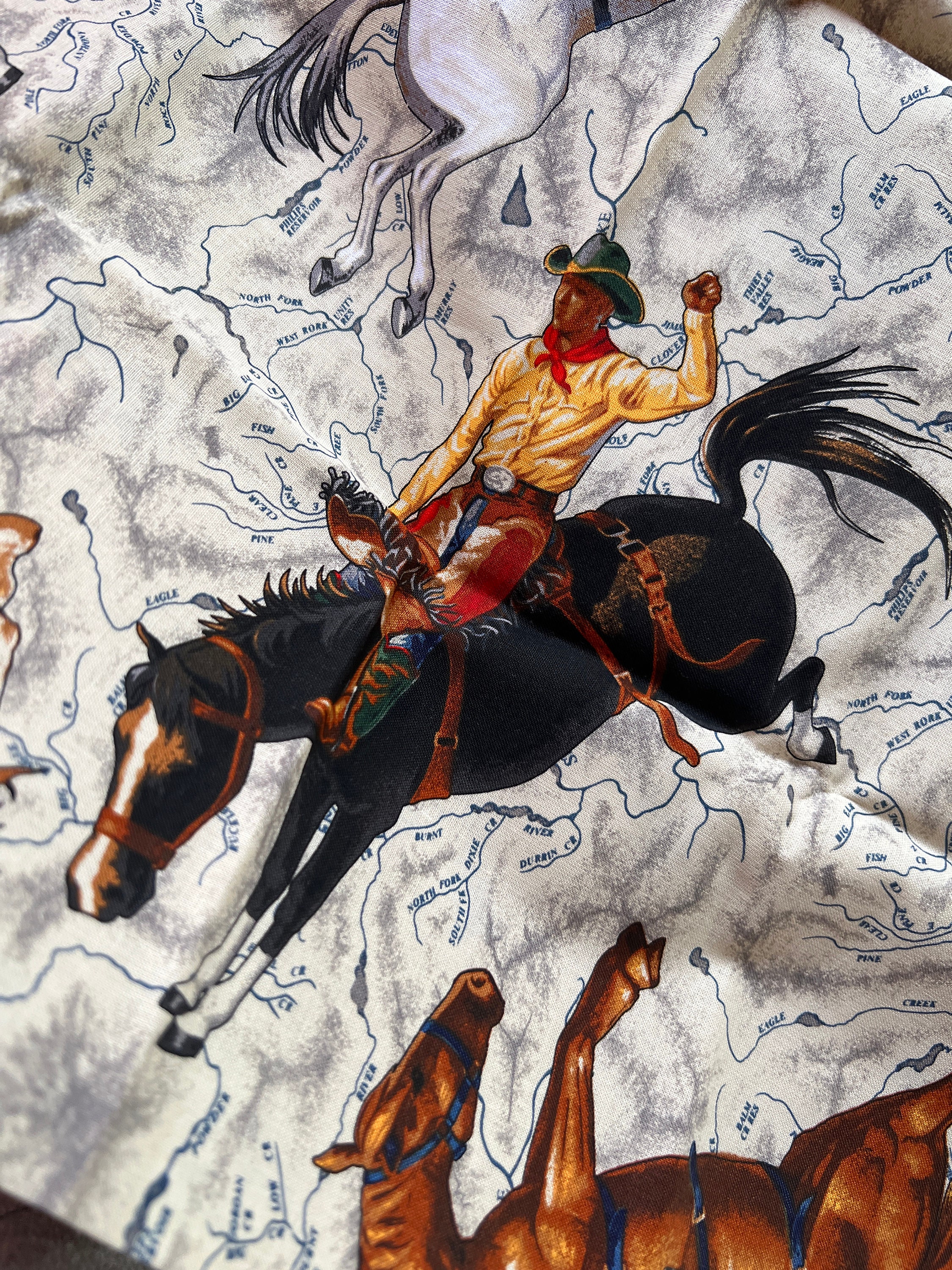 Cowboy ,patty Reed Designs ,2014 ,fabric Traditions . 1/2 YR - Etsy