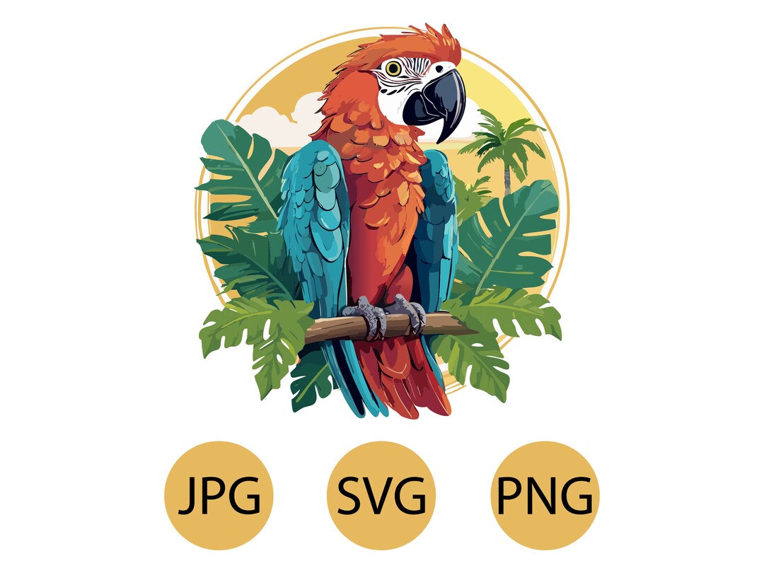 Exclusive Parrot SVG Illustration - Perfect for Your DIY Projects - Etsy
