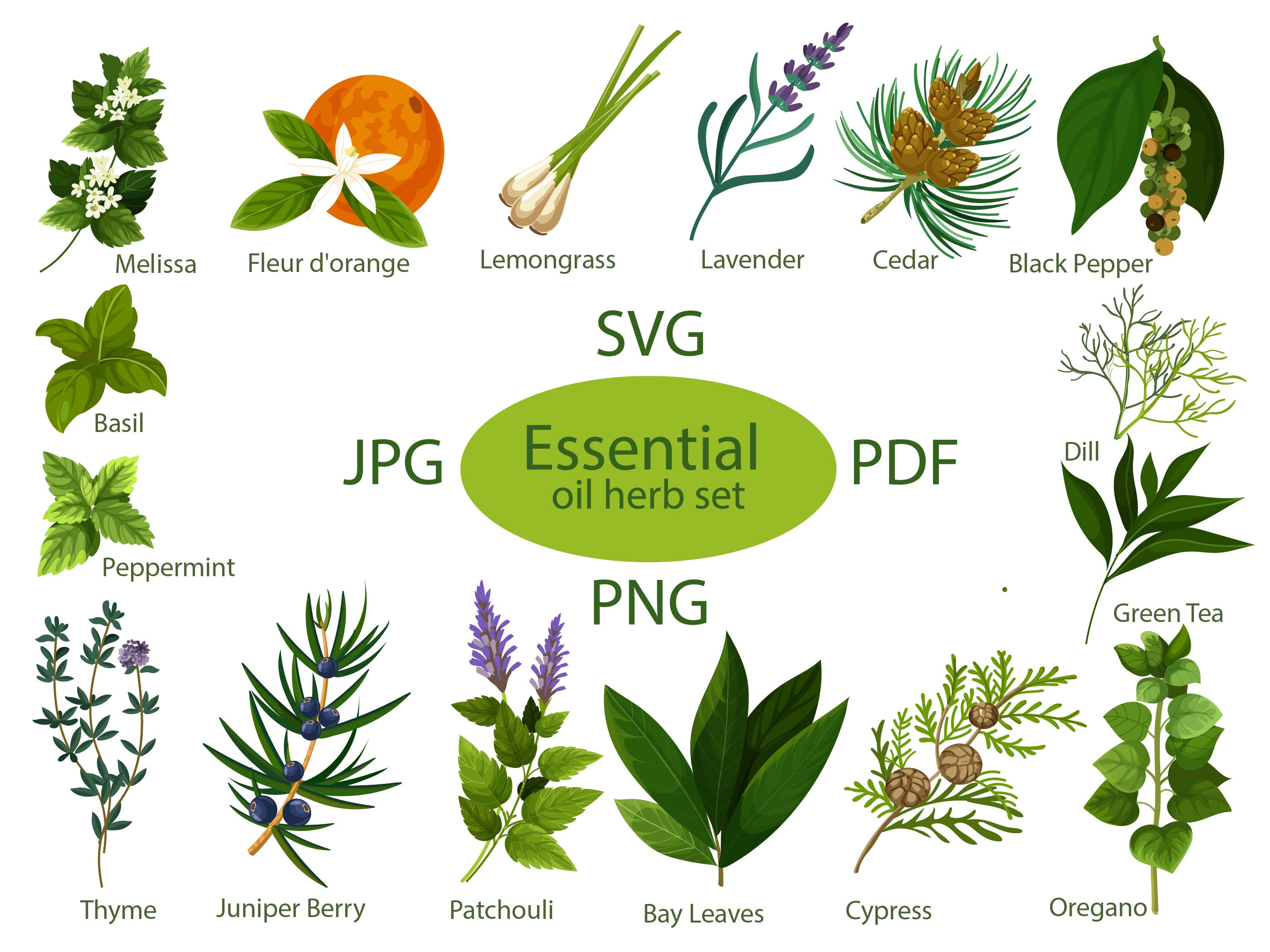 Kitchen Herbs Svg Bundle Flower Herbs Art Design for - Etsy