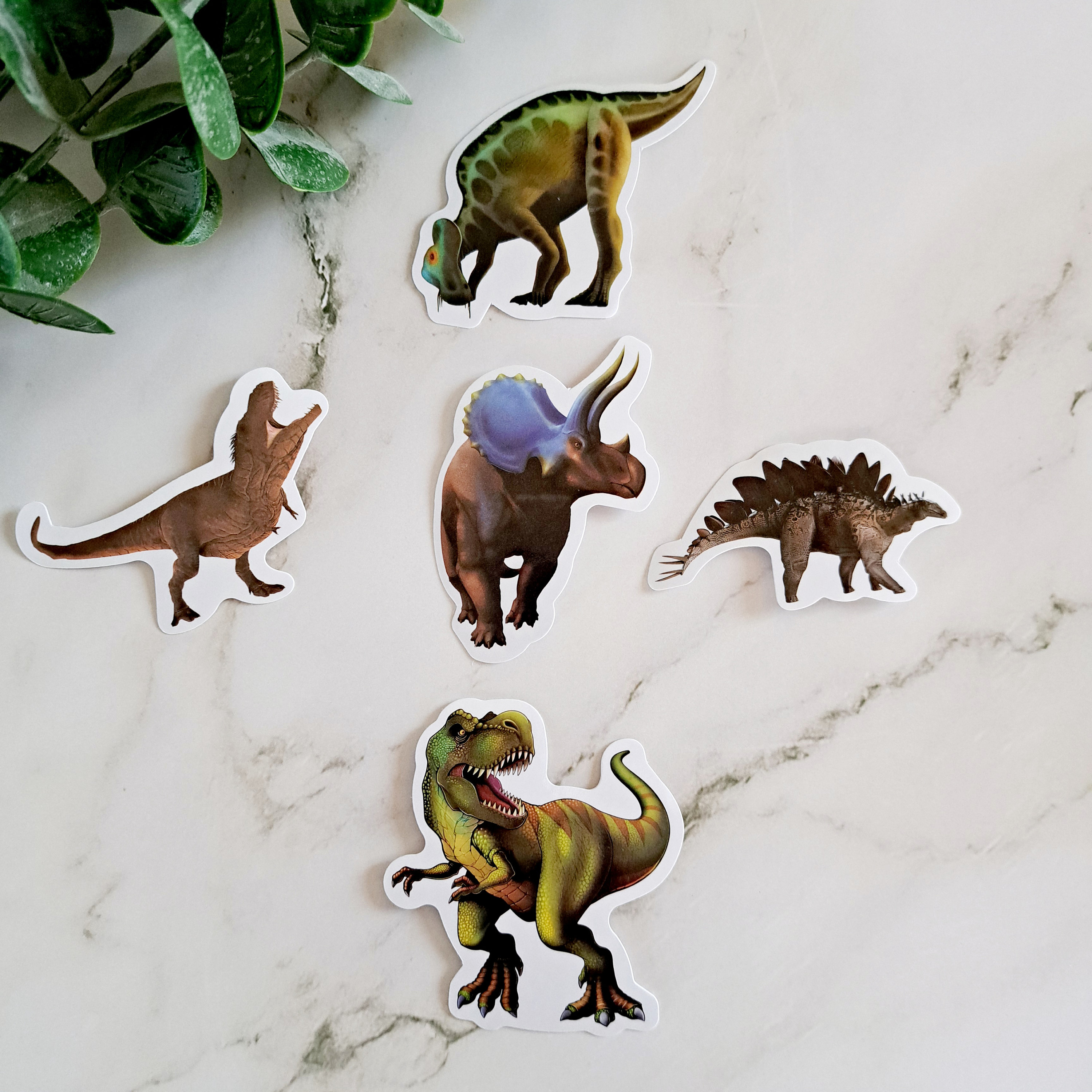 Vinyl Dinosaur Sticker Pack Pack of 5 Waterproof Water Bottle Phone ...