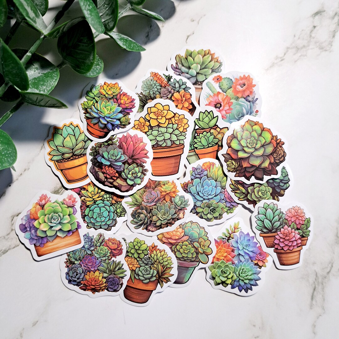 Waterproof Mini Succulent Stickers| Pack of 6| Plant Planner Stickers ...