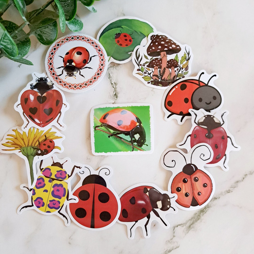 Vinyl Ladybug Sticker Pack| Pack of 5| Waterproof Stickers| Notebook ...