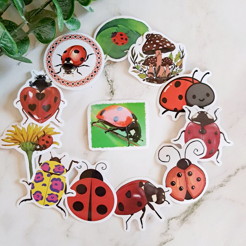 Ladybug Decal - Etsy