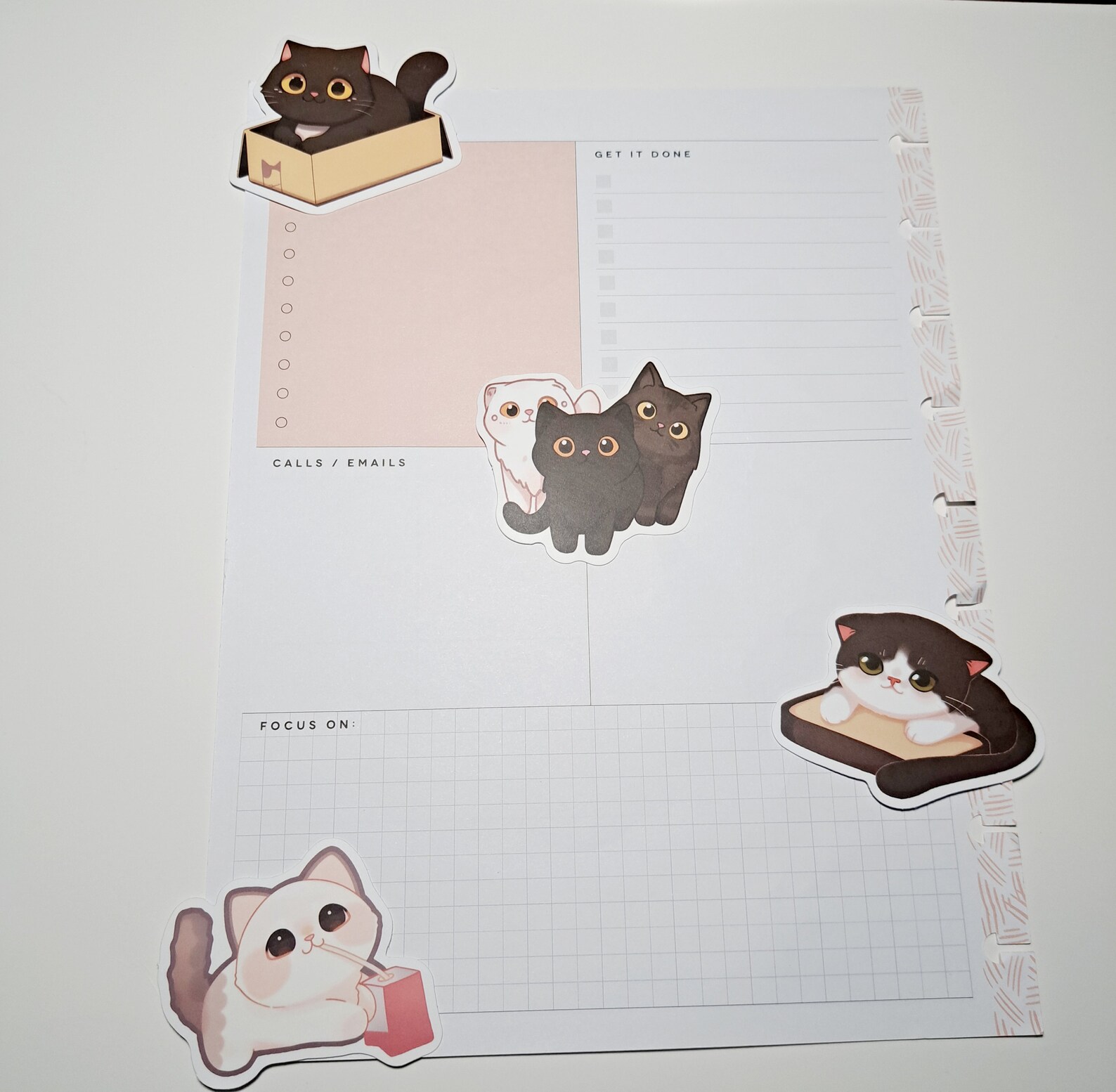 Cute Kitten Sticker Pack Pack of 5 Vinyl Round-eye Kitten Stickers ...