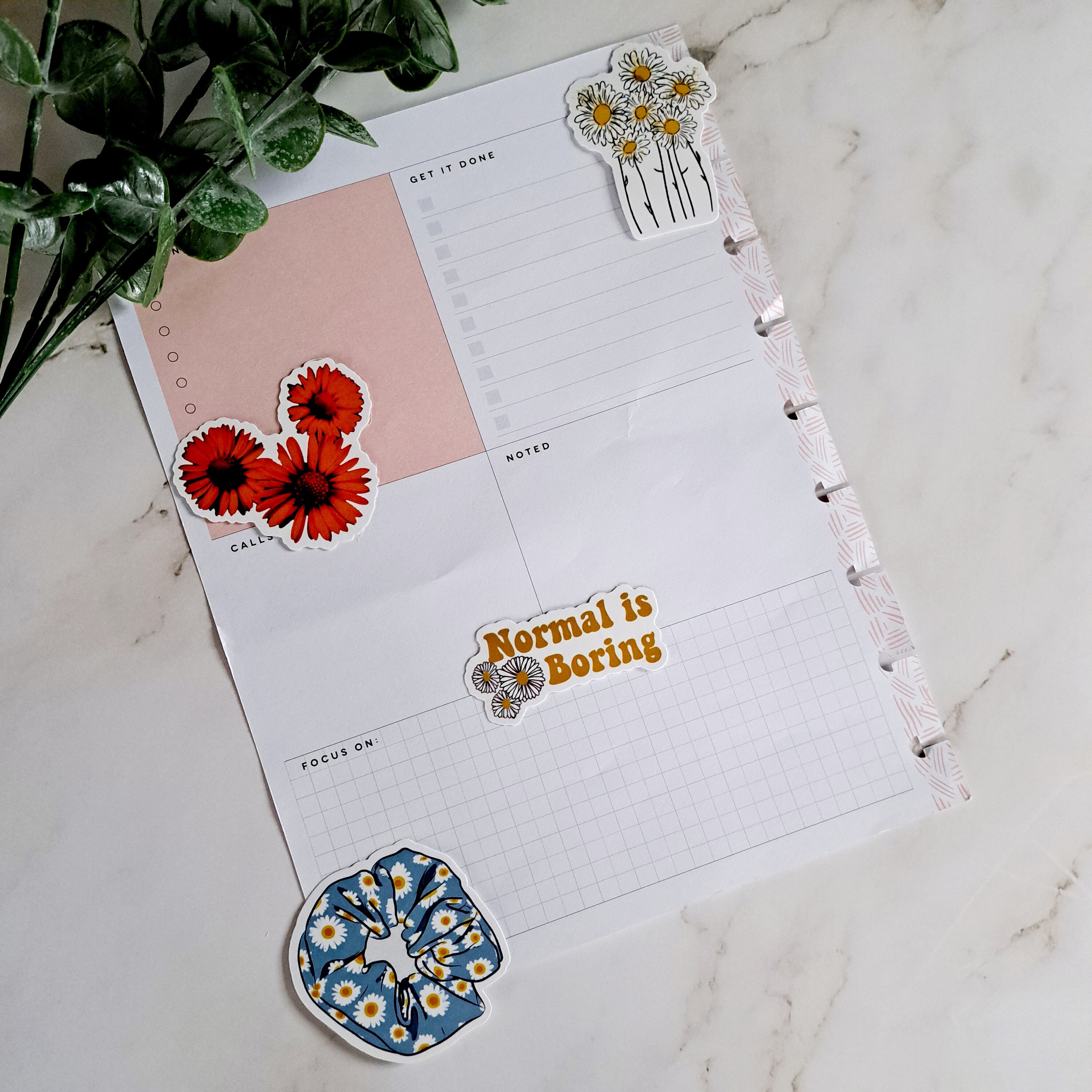 Waterproof Daisy Sticker Pack Pack of 5 Cute Flower - Etsy