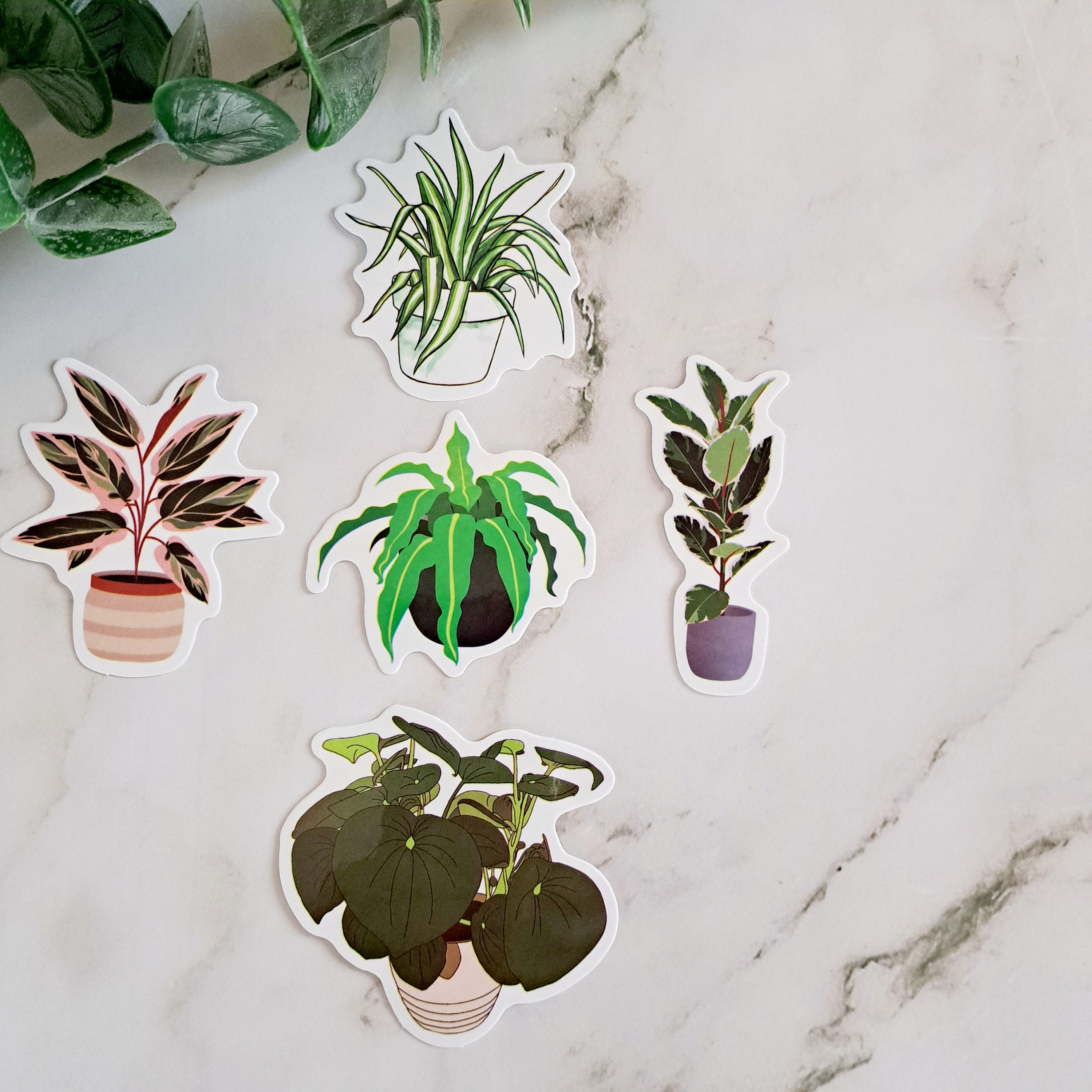 Waterproof Houseplant Sticker Pack| Pack of 5| Plant Planner Stickers ...