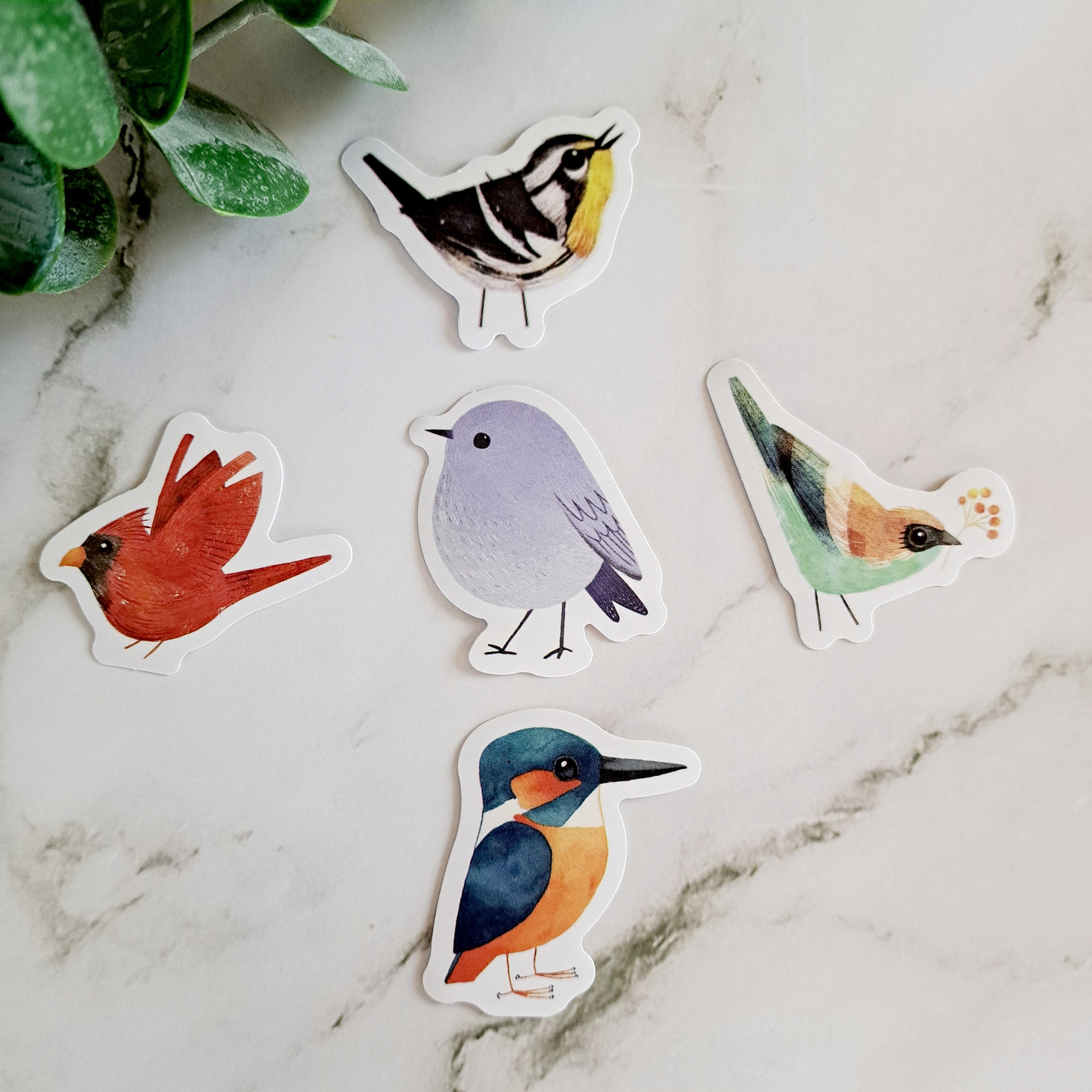 Mini Bird Sticker Pack Pack of 6 Nature Stickers Notebook Phone Case - Etsy