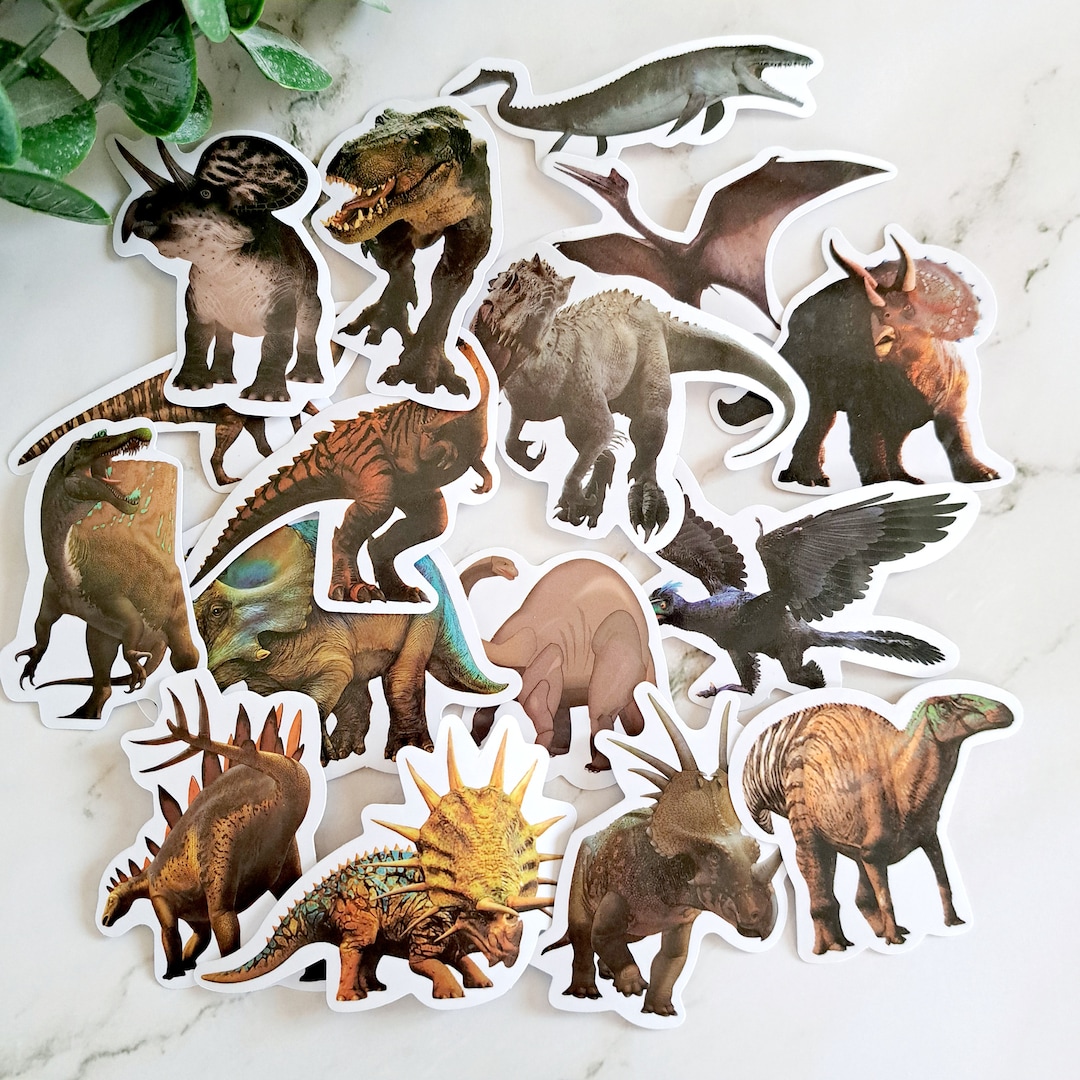 Vinyl Dinosaur Sticker Pack| Pack of 5| Waterproof| Water Bottle| Phone ...