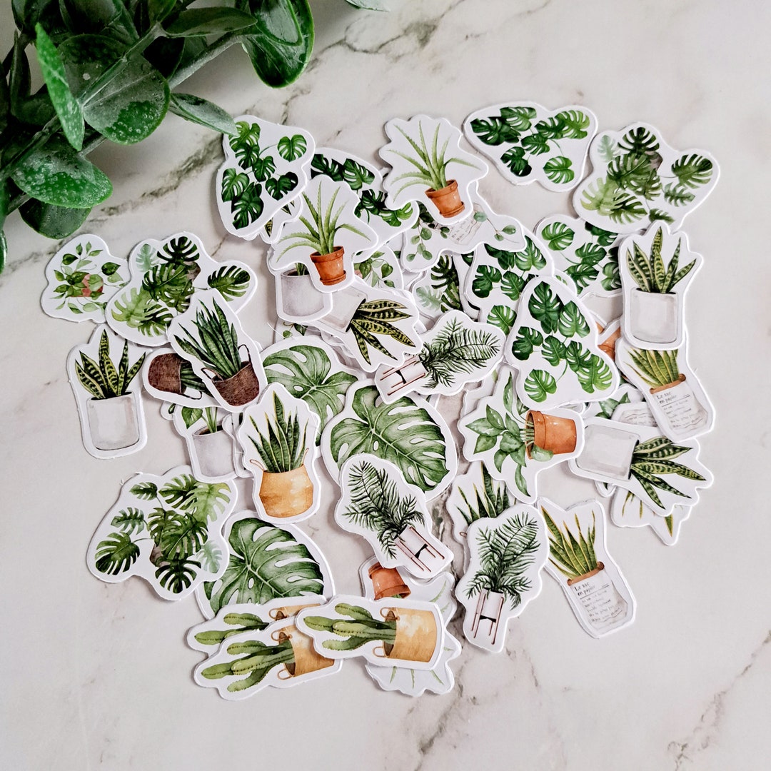 Mini Plant Stickers| Pack of 6| Planner Stickers| Houseplant Stickers ...