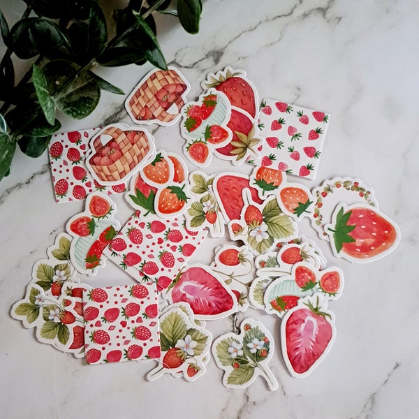 Strawberry Stickers - Etsy