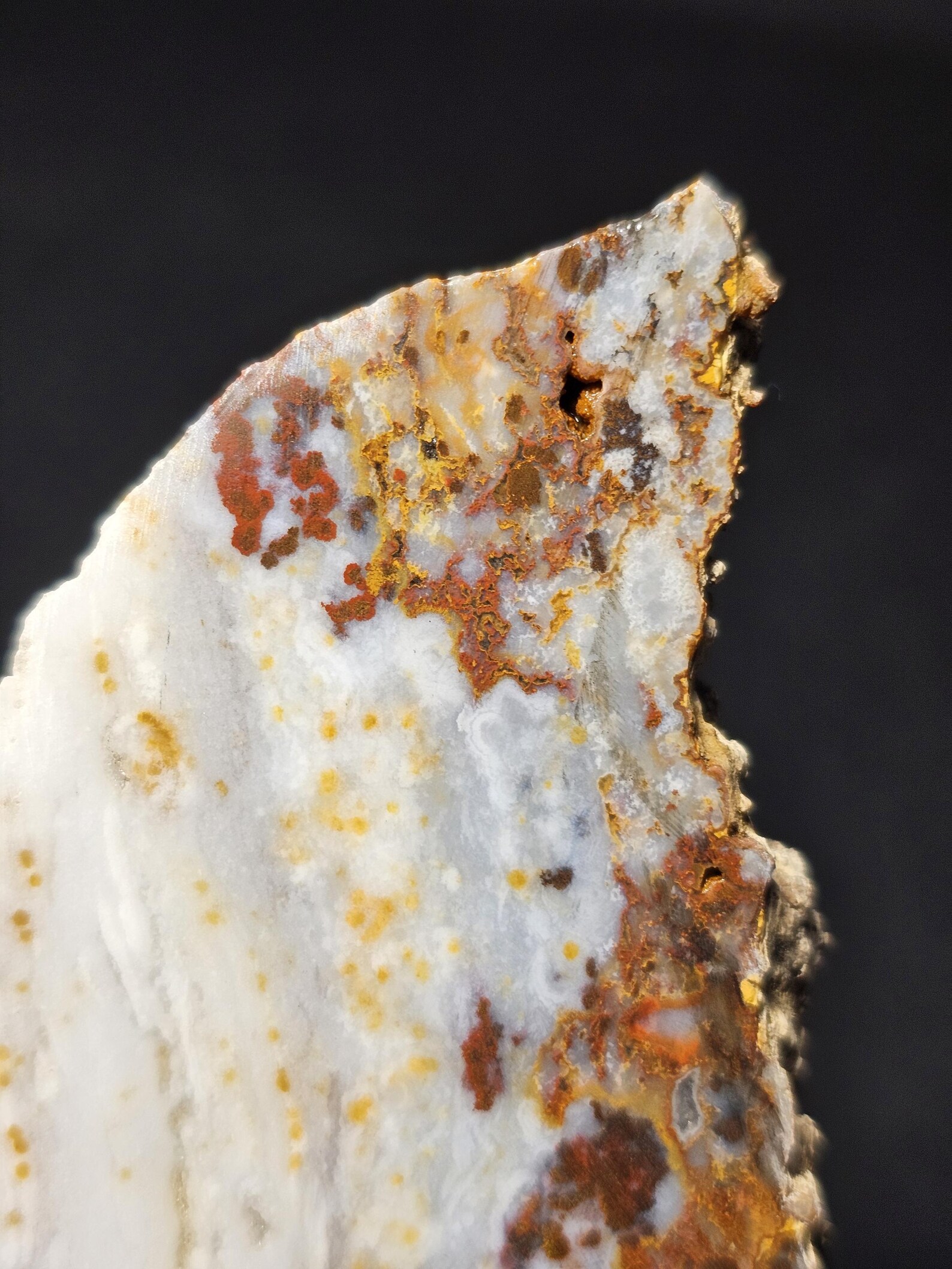 169g Priday Polkadot Agate Slab - Etsy