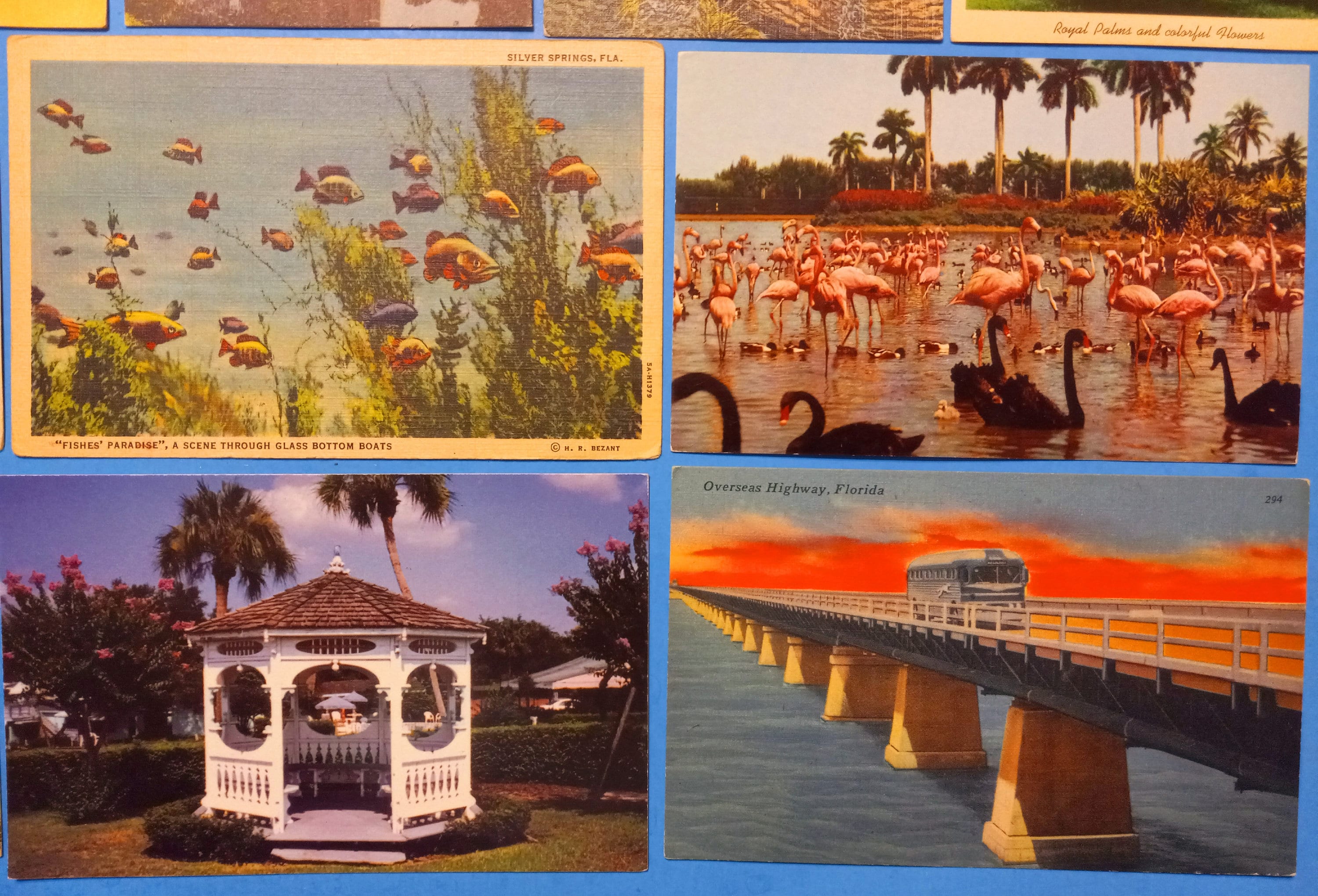 Vintage Florida Postcards - Lot of 18 UNUSED - 1940s-70s for Save the ...