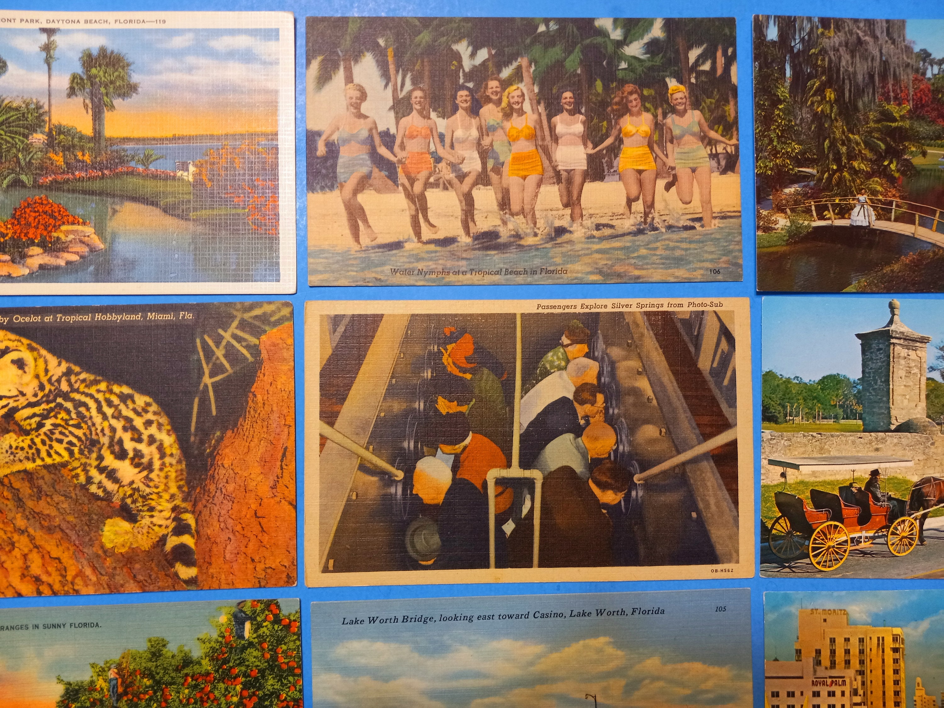 Vintage Florida Postcards - Lot of 18 UNUSED - 1940s-70s for Save the ...