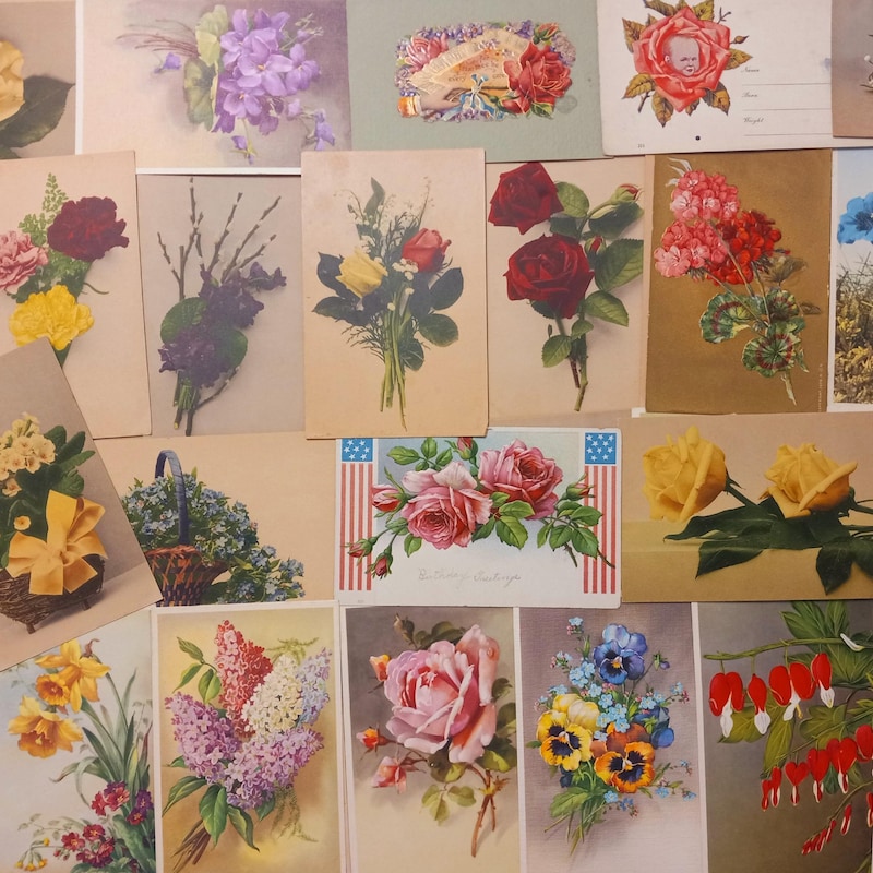 Postcard Flowers - Etsy
