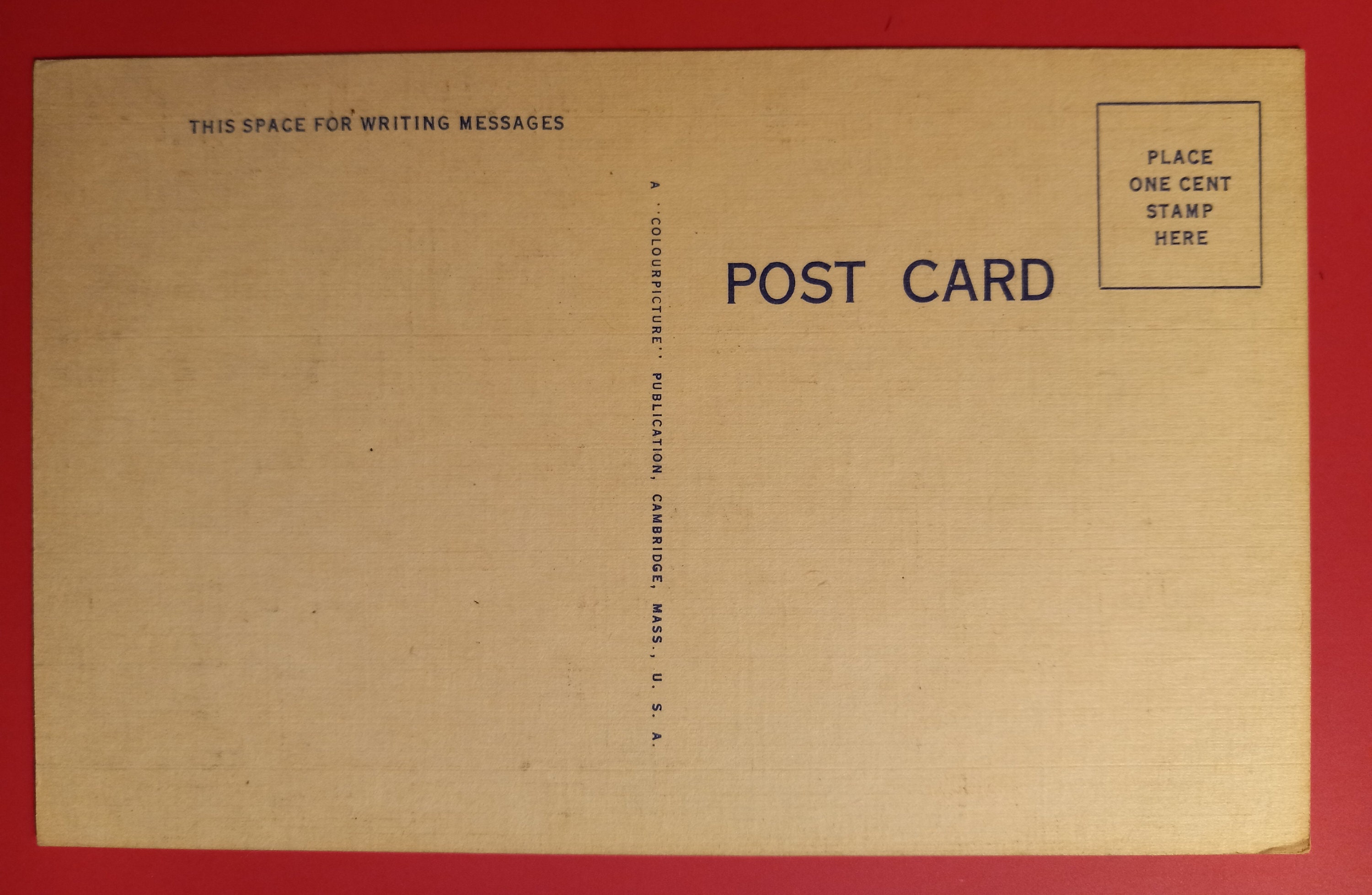 1940's Risque Sexy Postcard Visited Some of the SCENIC Wonders - Etsy