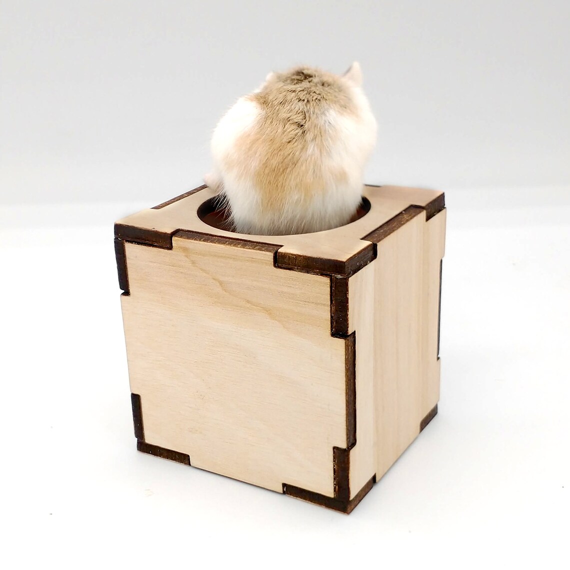 Dwarf Hamster Mouse Cubby Home - Etsy
