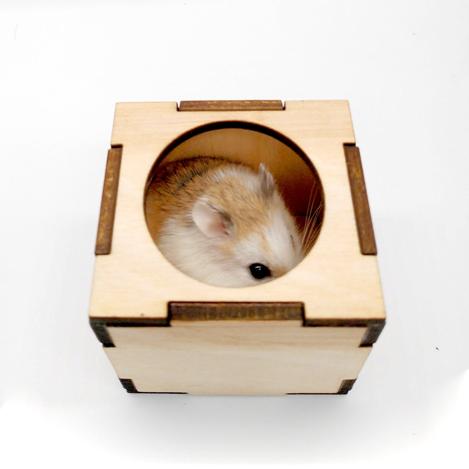 Dwarf Hamster Mouse Cubby Home - Etsy
