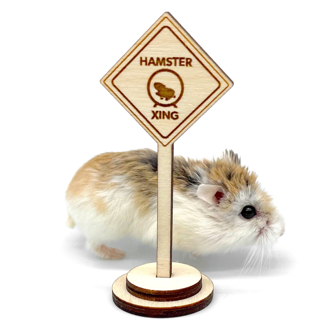 Hamster Crossing Street Sign for Hamsters - Small Pet - Hamster Decor ...