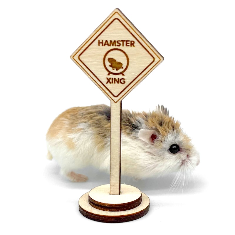 Hamster Cage Accessories - Etsy