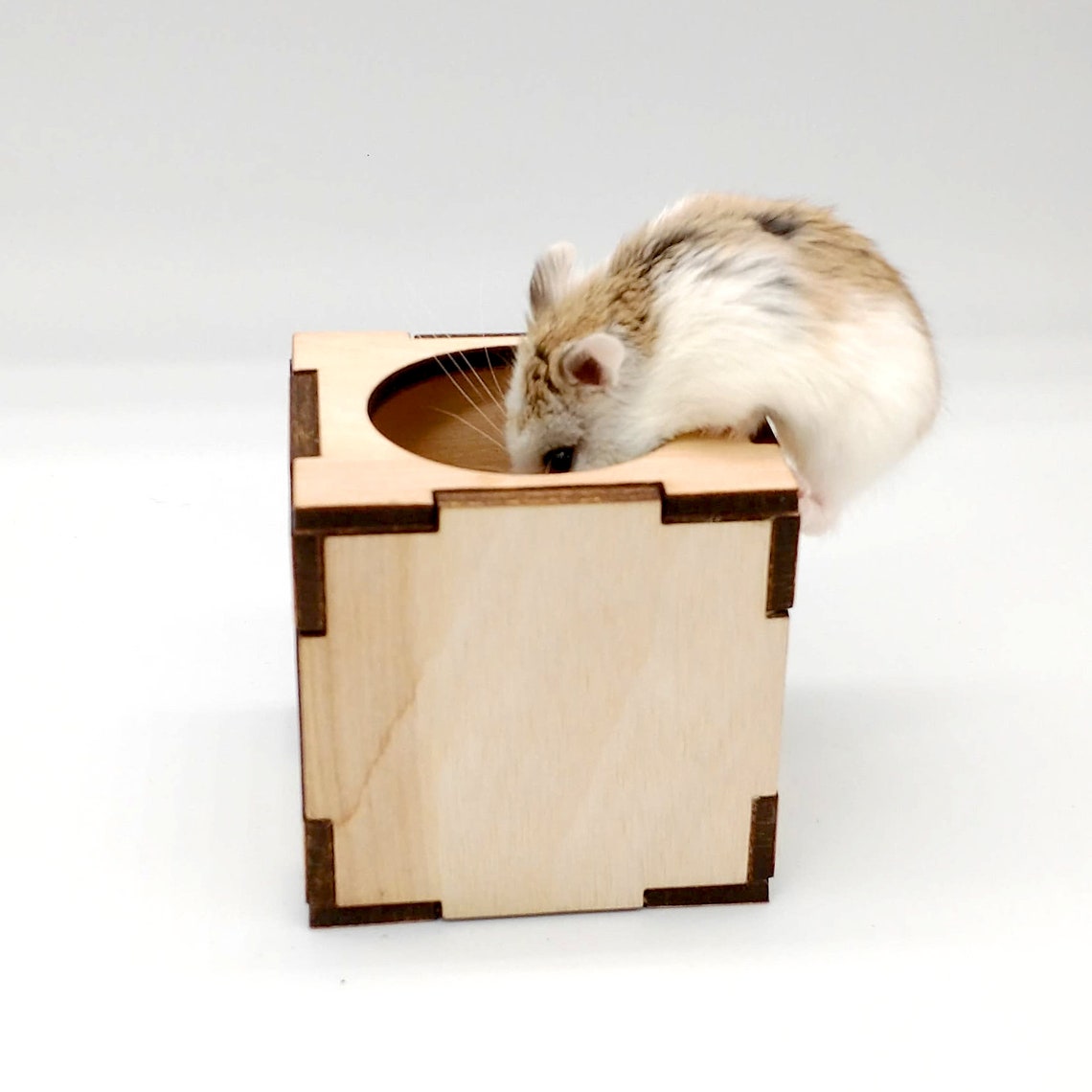 Dwarf Hamster Mouse Cubby Home - Etsy