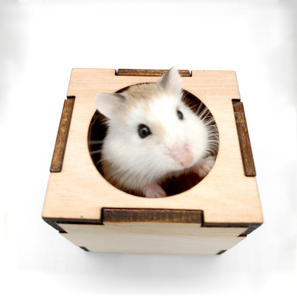 Dwarf Hamster Mouse Cubby Home - Etsy