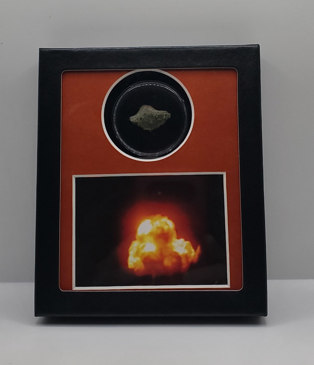 H: Small Riker Display Case With Mushroom Cloud - Etsy