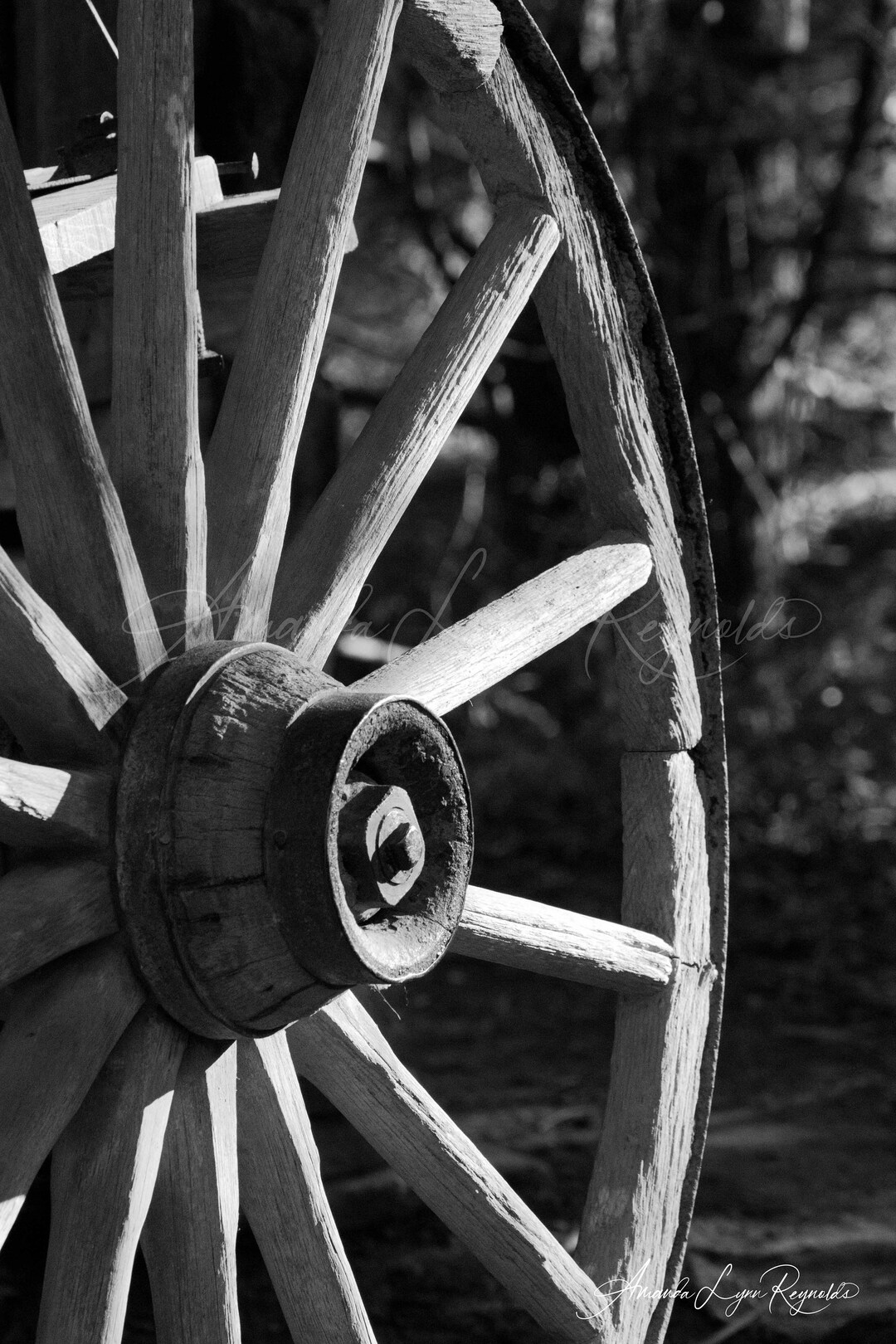 Wagon Wheel Custom Canvas or Print - Etsy