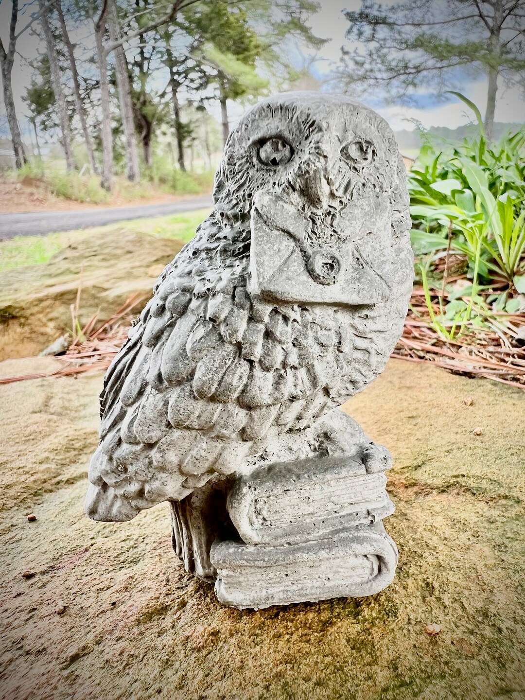Hedwig Concrete Owl With Letter Statue Gift and Home or Garden Decor - Etsy