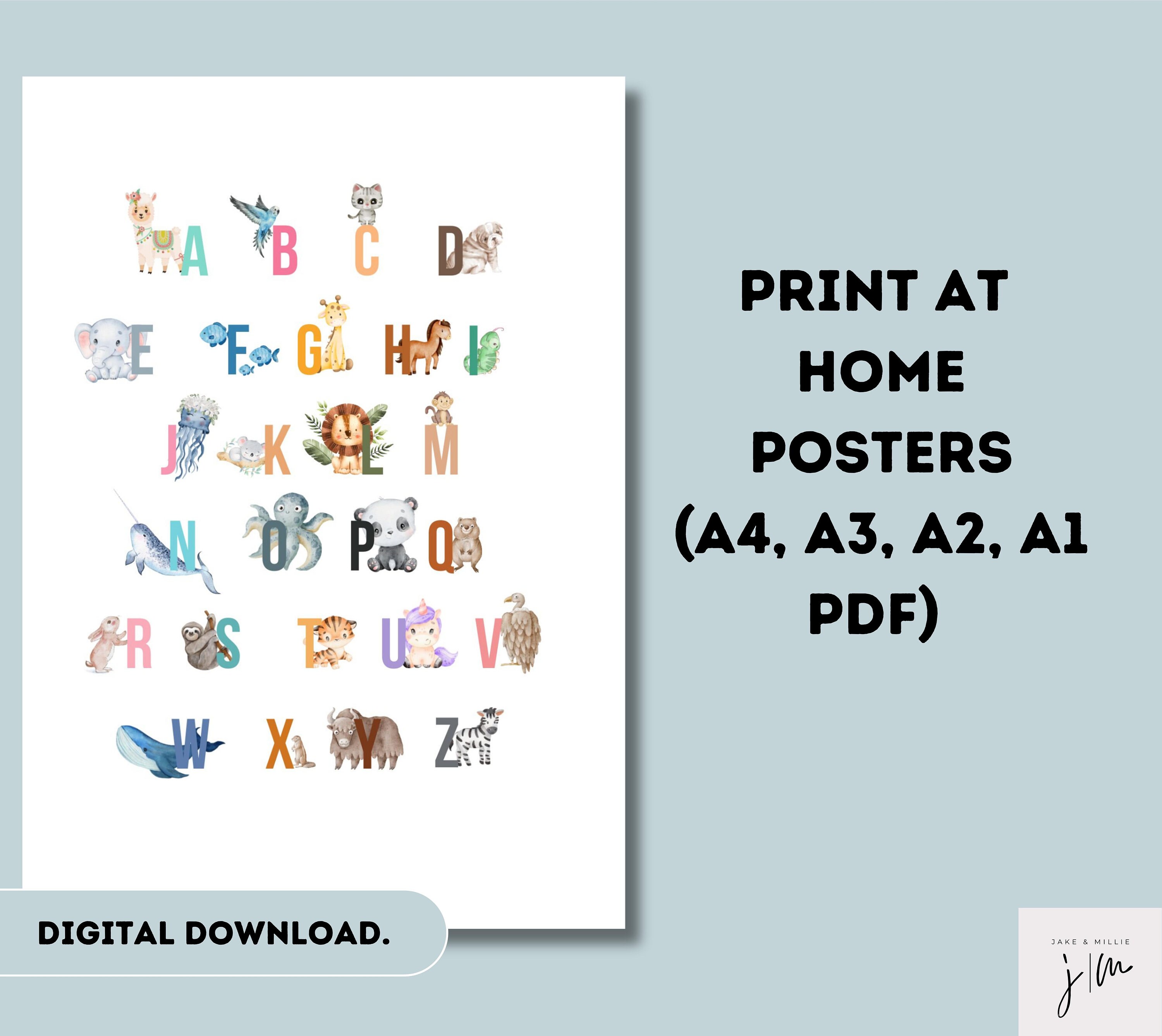 Animal ABC Alphabet Poster - Educational Wall Art, Cute Animals ...