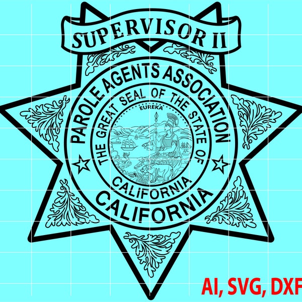 State Parole Badge California - Etsy