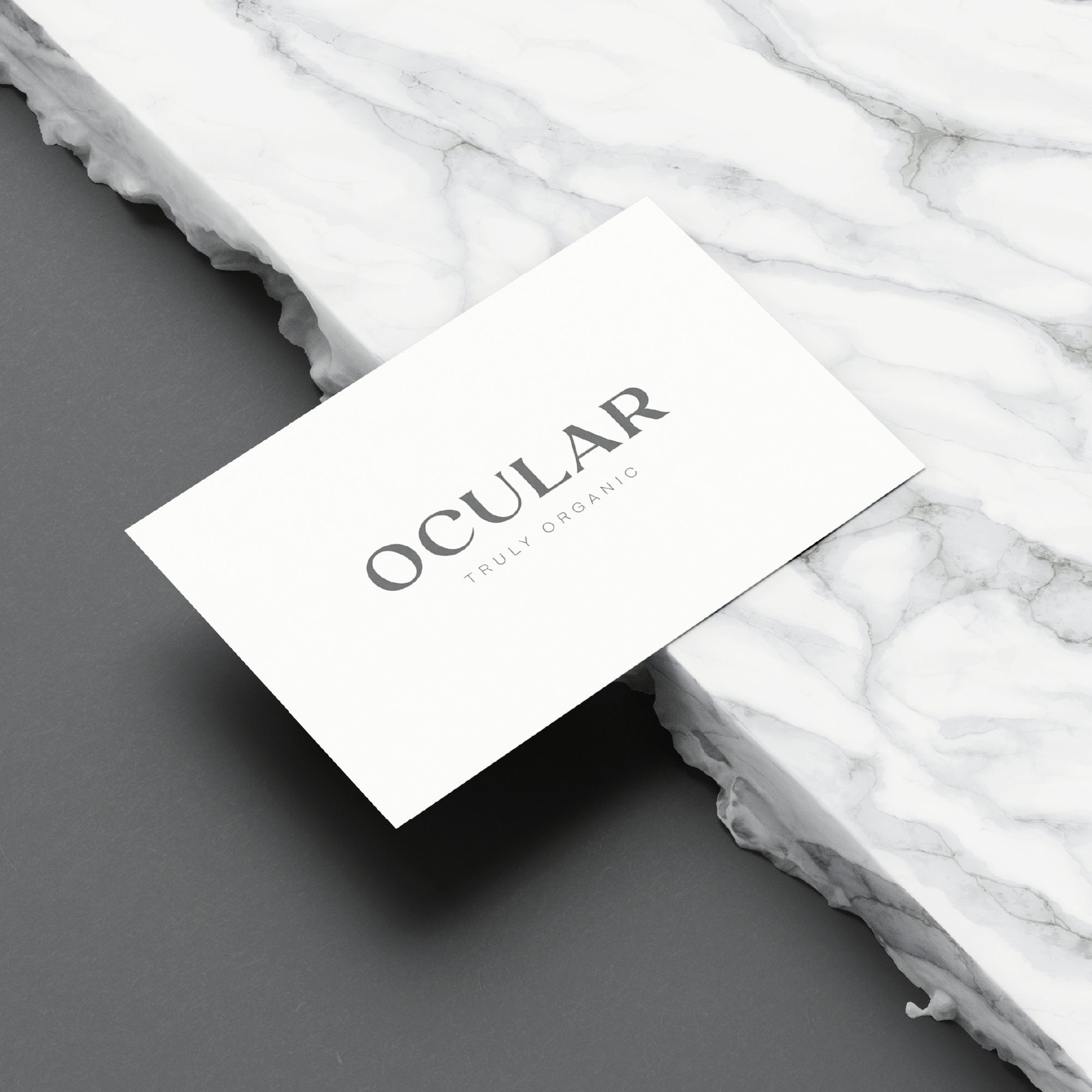 Premade Logo | Modern Contemporary Business Logo | Simple Wordmark Text ...