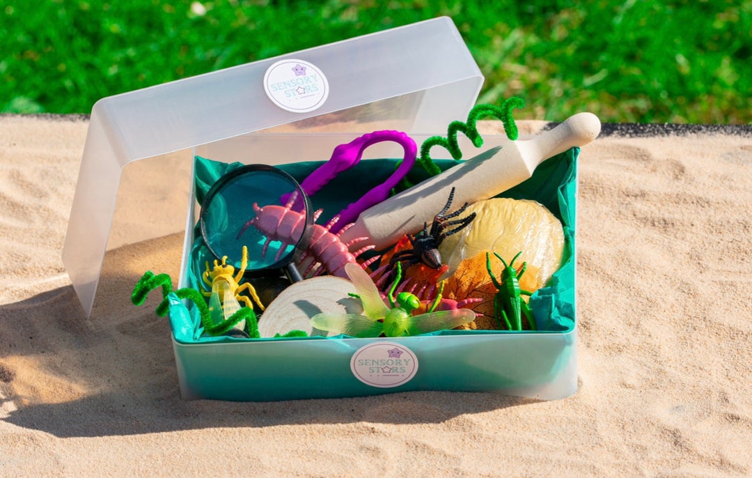 Sensory Stars ‘minibeasts’ Box - Etsy