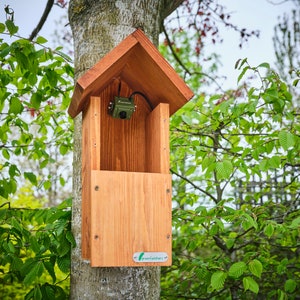 Large Wooden Deluxe Bird Box With WIFI Camera Included - Etsy