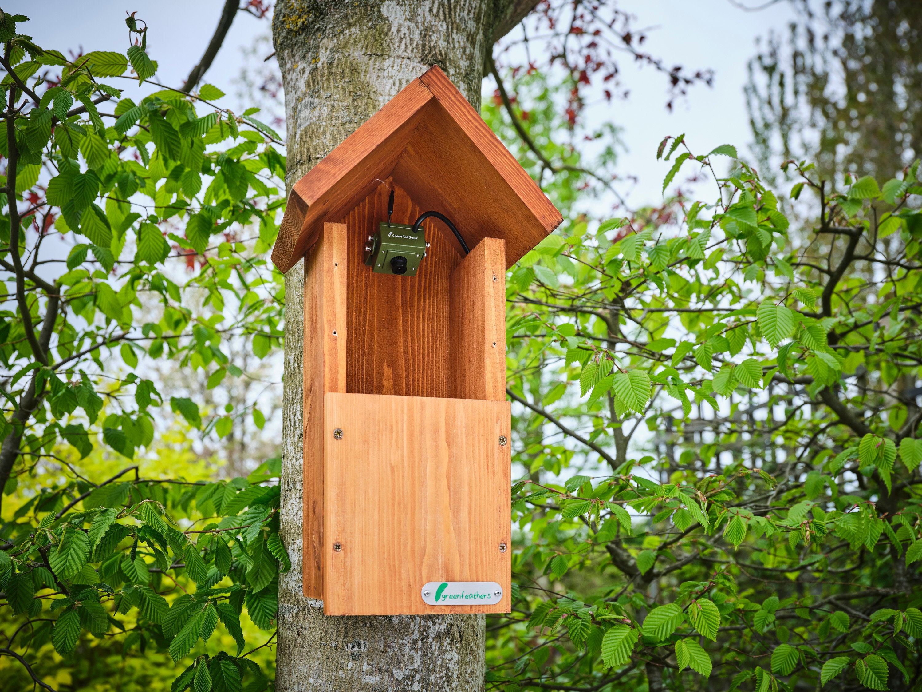 Large Wooden Deluxe Bird Box With WIFI Camera Included - Etsy