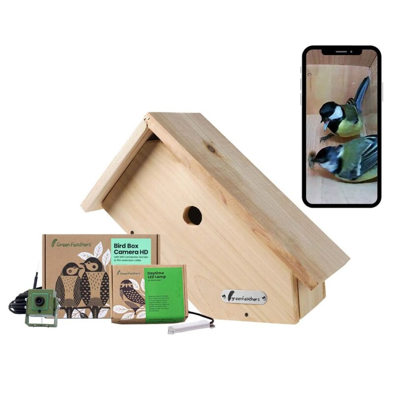 Bird Box - Etsy UK