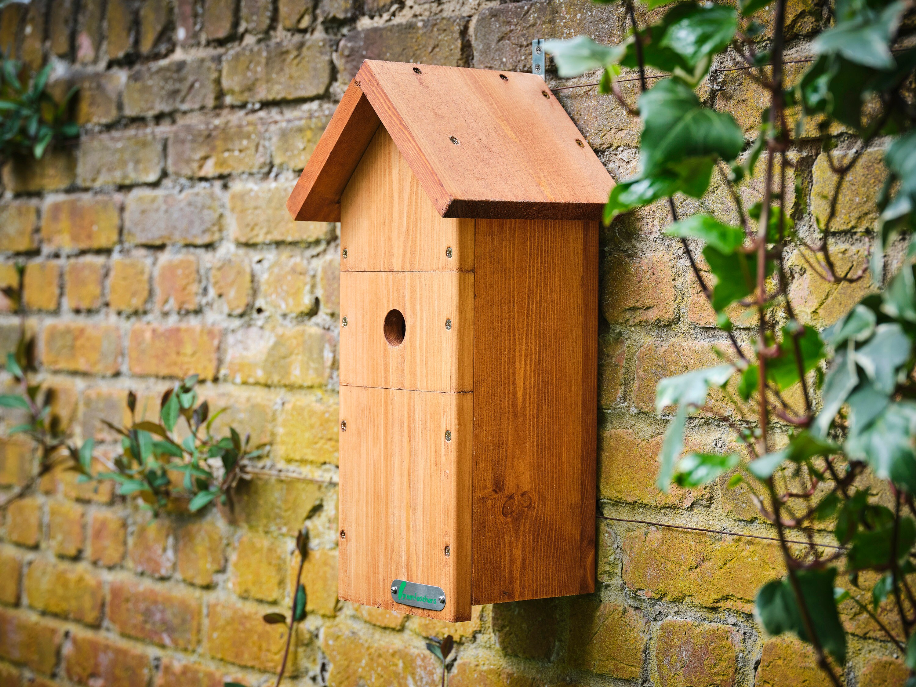 Large Wooden Deluxe Bird Box With WIFI Camera Included - Etsy