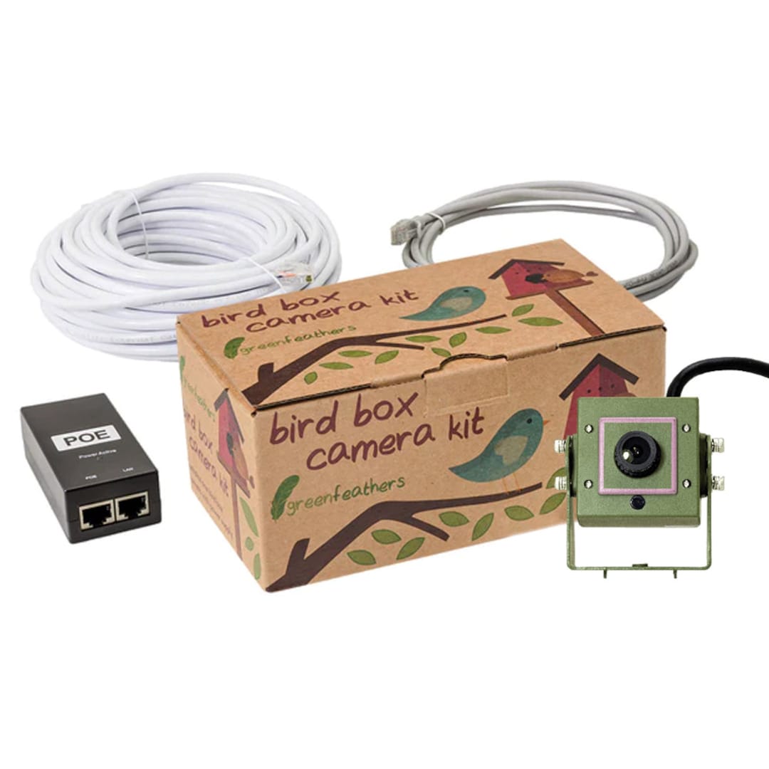 Green Feathers Wired HD Network (POE) Bird Box Camera - Etsy UK