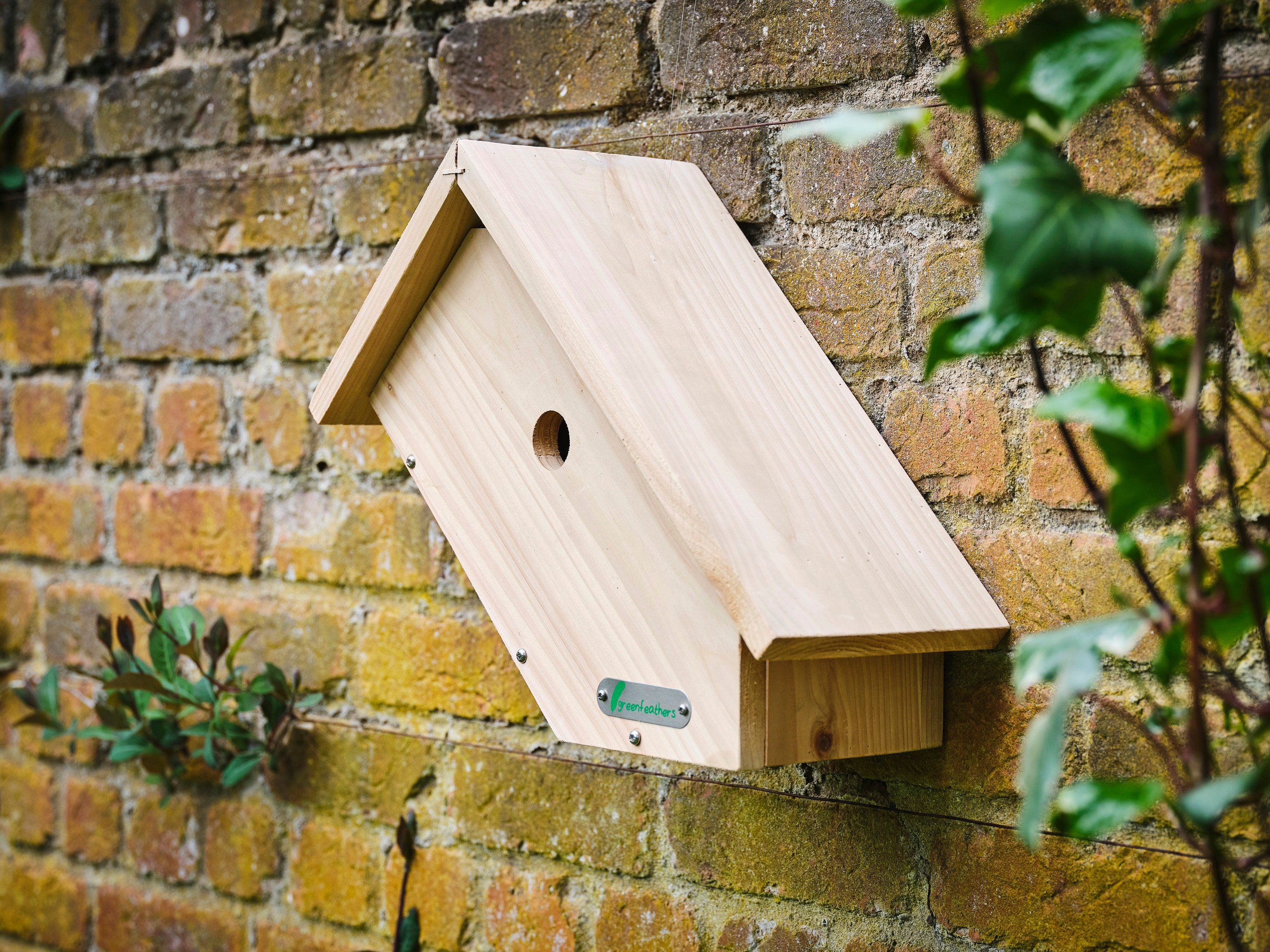 Sparrow Nest Box
