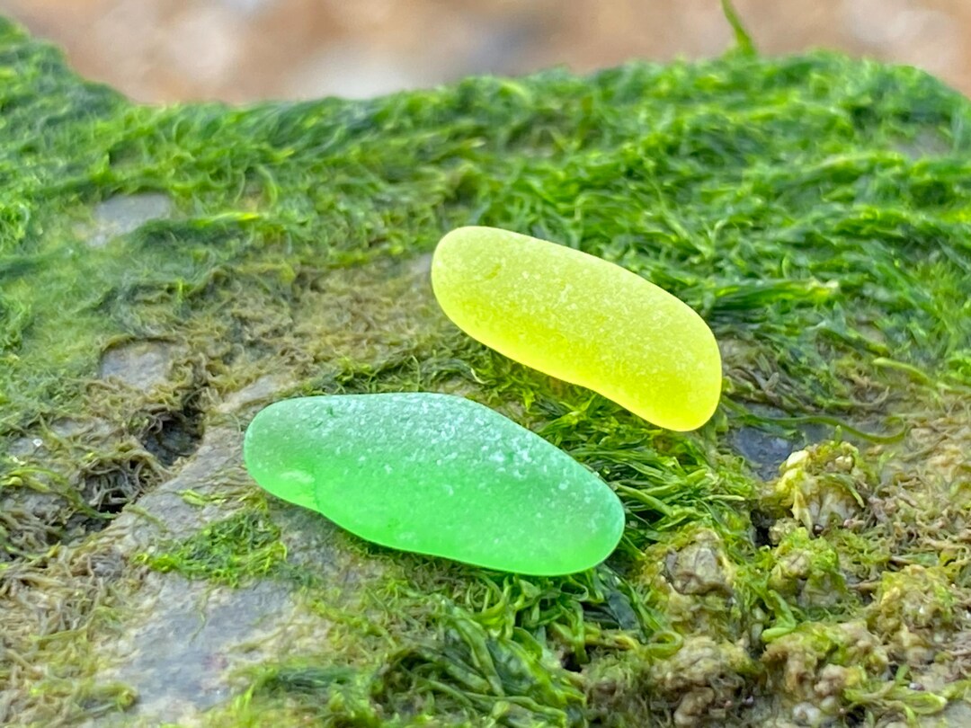 Yellow & Green Sea Glass Pair – Kent Coast Jewellery Making Supplies - Etsy