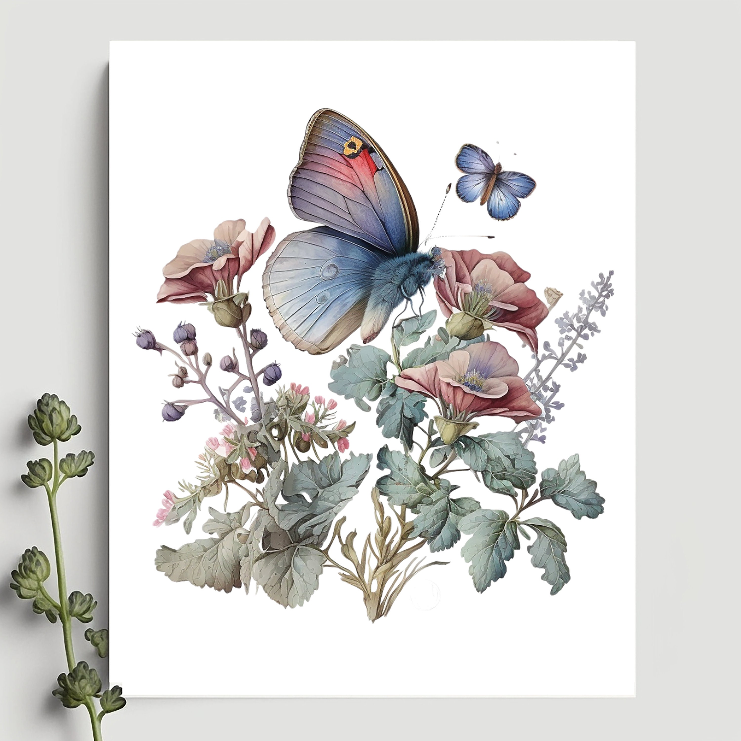Butterfly Fairy Tale, 6 Art Prints 4x6 Inches, Free Shipping - Etsy