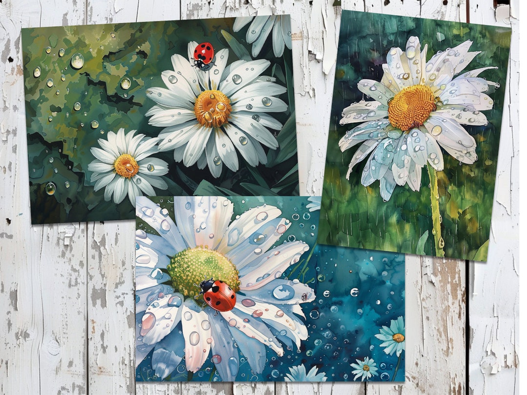 Rain Daisies- 3 Art Print 5x7", Cottagecore Aesthetics, Cottage Art - Etsy