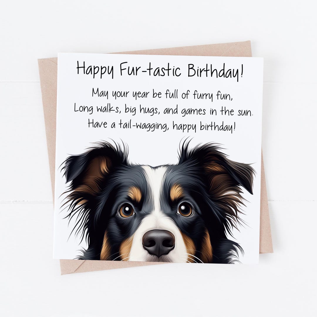 Cute Border Collie Birthday Card, Dog Lover Gift - Etsy