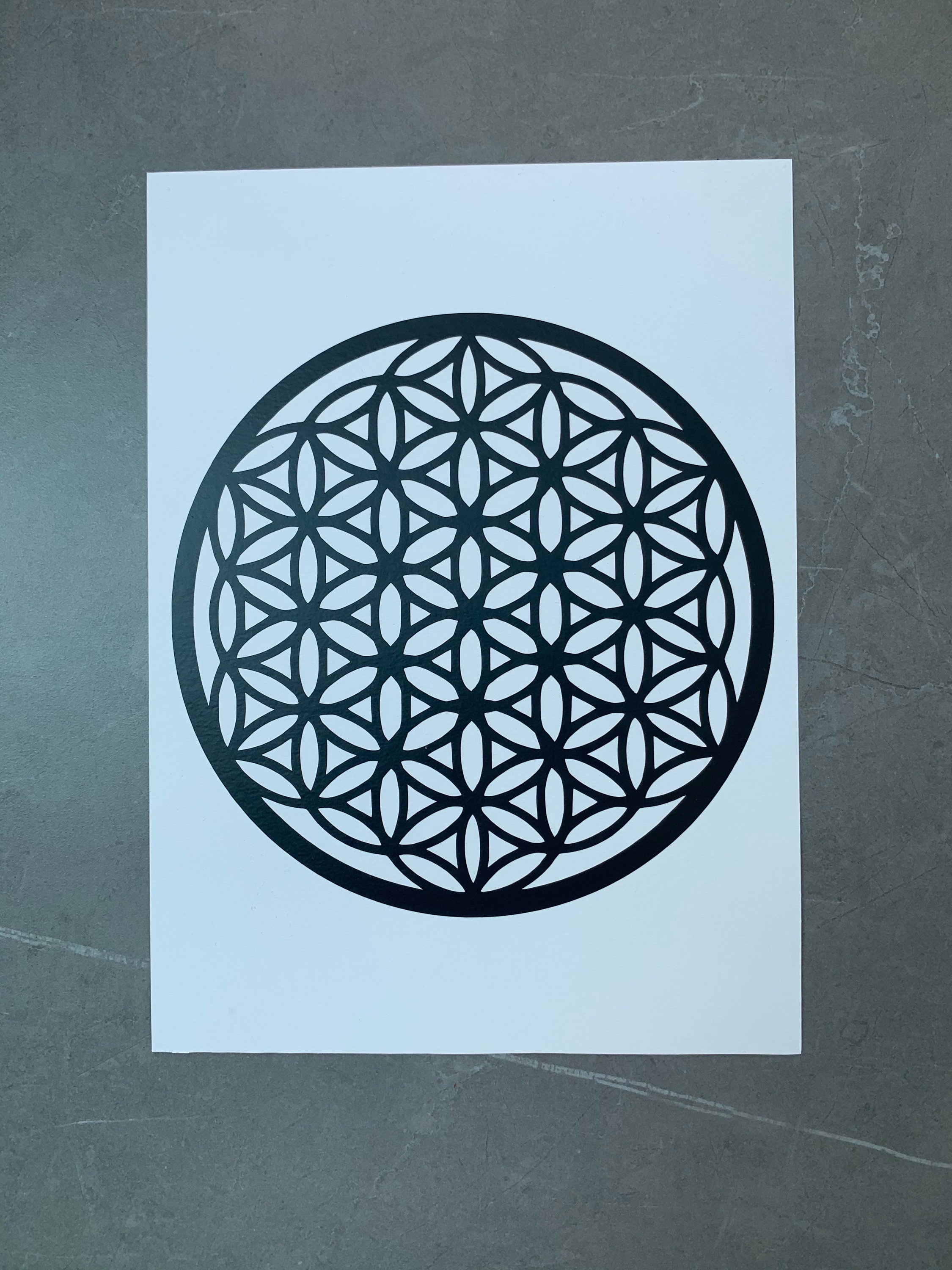 Flower of Life, Seed of Life, Vinyl on Paper, Spiritual Art, Wall Art ...