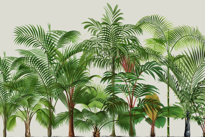 Tropical Tree Wallpaper | Wall Mural - Etsy