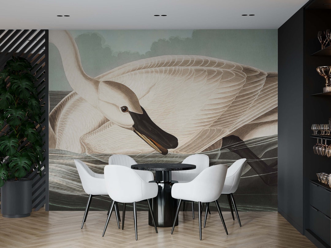 Swan Wallpaper | Trumpeter Swan Stunning Birds of America Wall Mural - Etsy