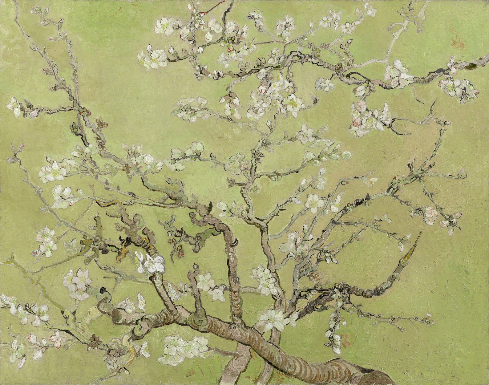 Van Gogh Almond Blossom Wallpaper Art Wallpaper Mural - Etsy