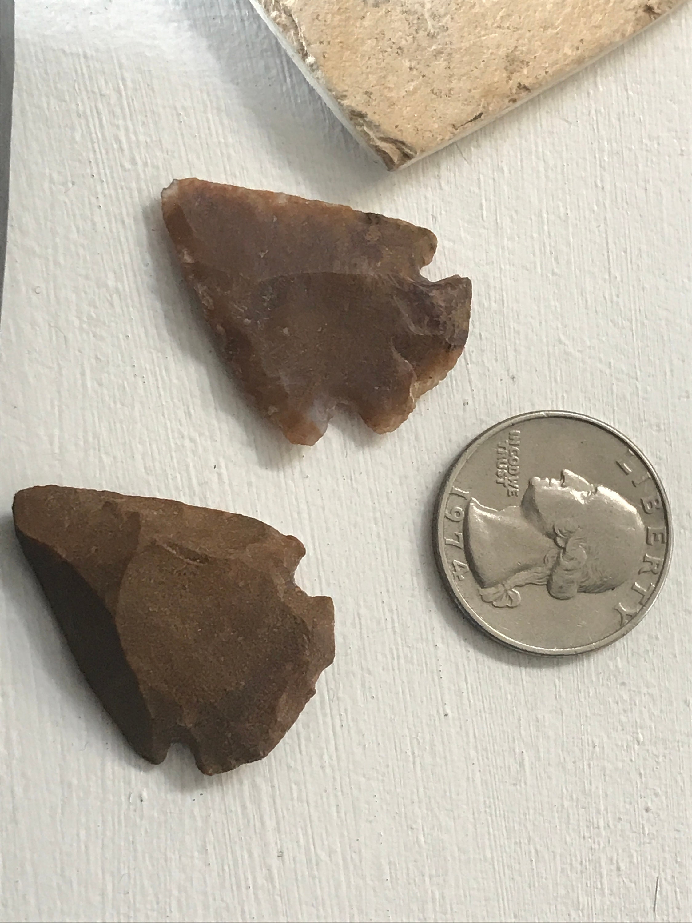 FOSSILS and ARROWHEADS Trilobites and Bony Fish - Etsy