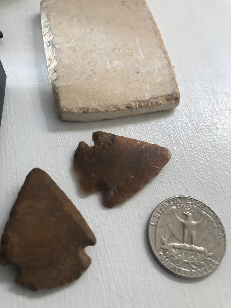 FOSSILS and ARROWHEADS Trilobites and Bony Fish - Etsy
