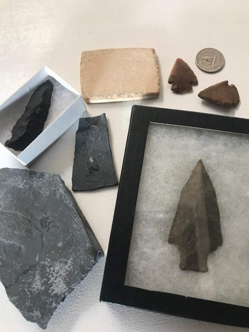 FOSSILS and ARROWHEADS Trilobites and Bony Fish - Etsy
